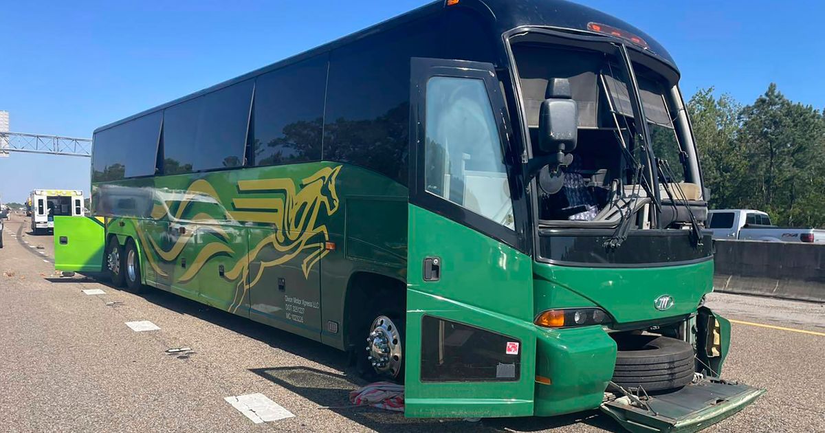 11 injured as bus carrying University of South Carolina fraternity ...