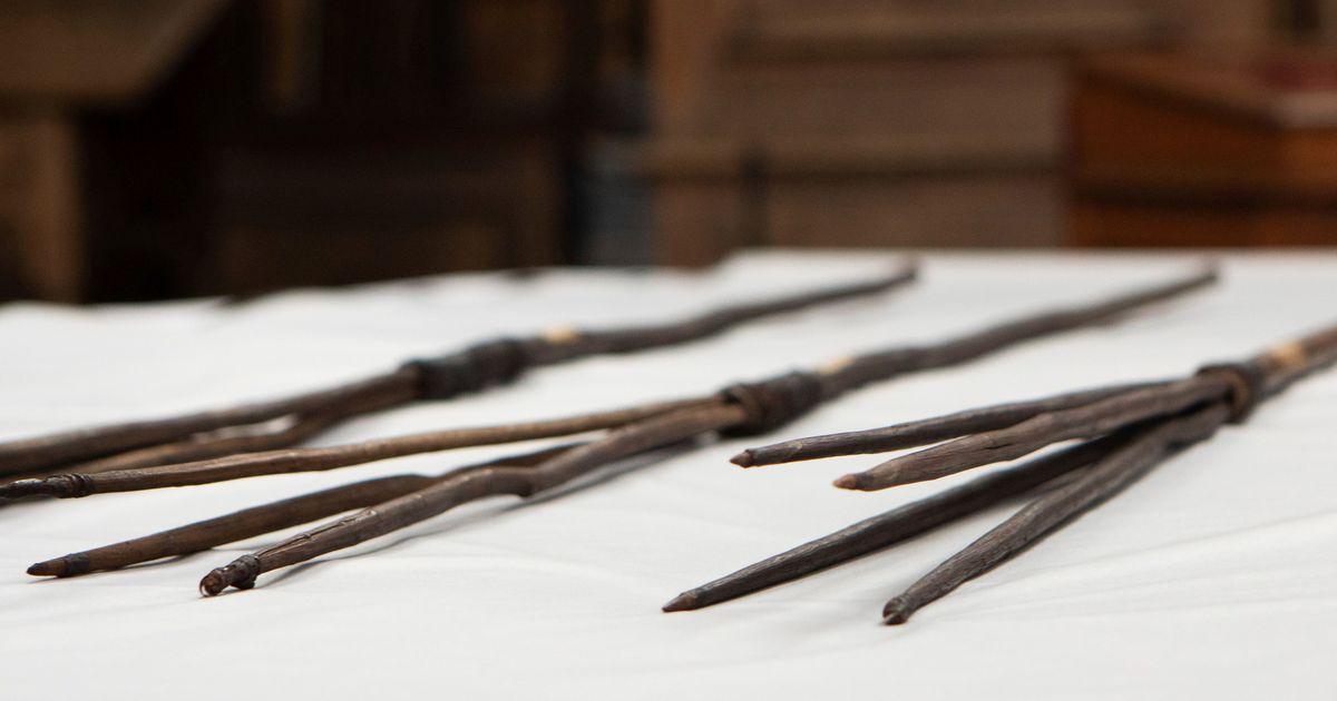 Aboriginal spears taken by Captain Cook in 1770 are returned to ...