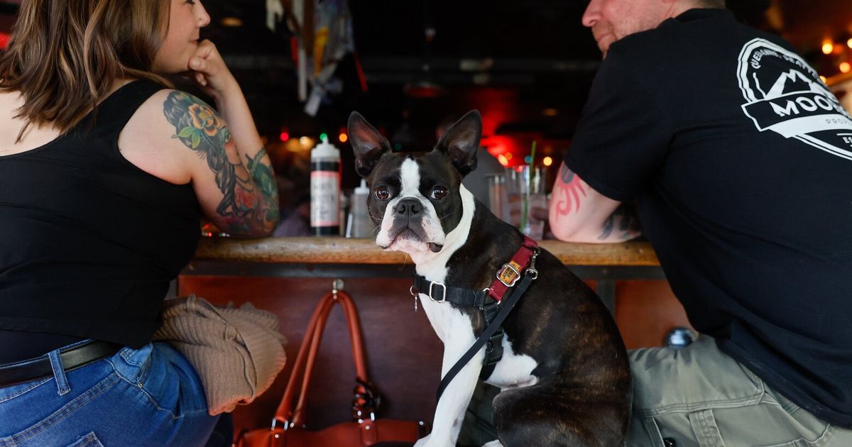 Cheers to that feeling of a local bar ‘where everybody knows your name ...