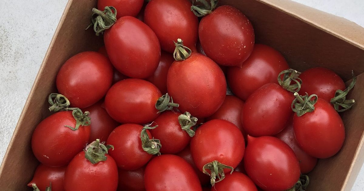Discover the dazzling possibilities of paste tomatoes with this pasta ...