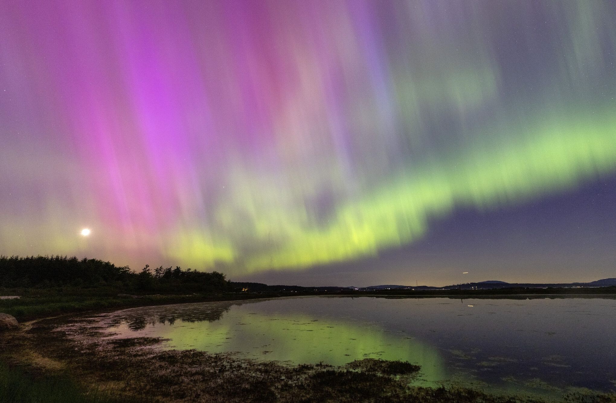 Northern Lights Seattle 2024