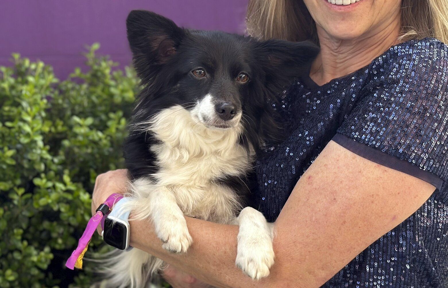 Miniature poodle named Sage wins Westminster Kennel Club dog show | The ...