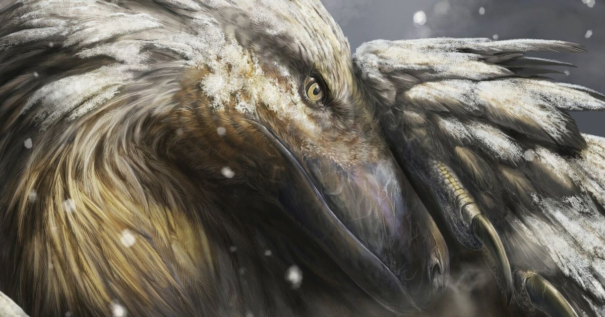 When the first warm-blooded dinosaurs roamed Earth | The Seattle Times