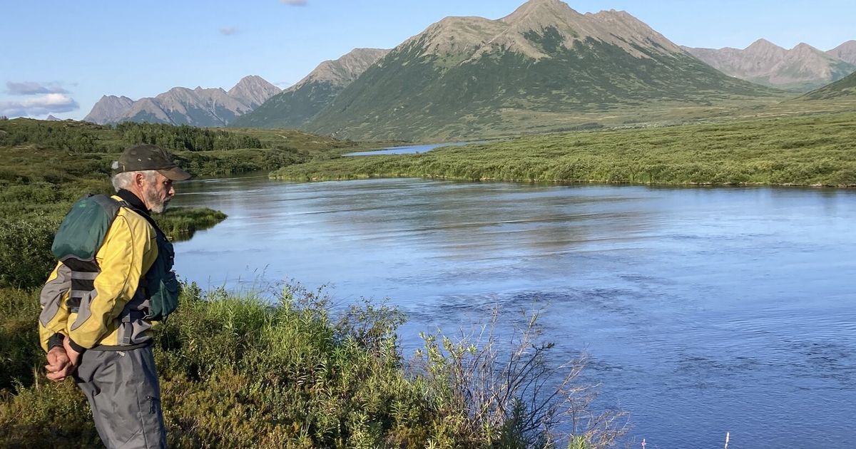 Family says Alaska photographer killed in moose attack knew the risks ...