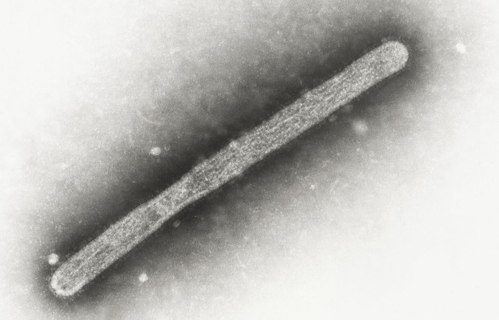 Raw milk’s risks don’t stop right-wing commentators from defiantly ...