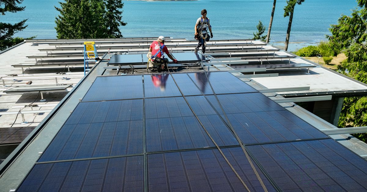 Looking to make an energy switch? Here’s how to harness the power of ...