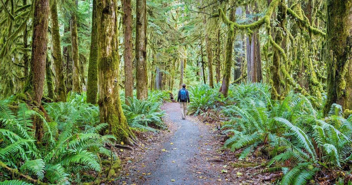 A weekend at Olympic National Park’s north end | The Seattle Times