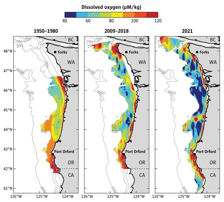 The Oceanic Impact of Climate Change: Exploring the Rising Threat of ...