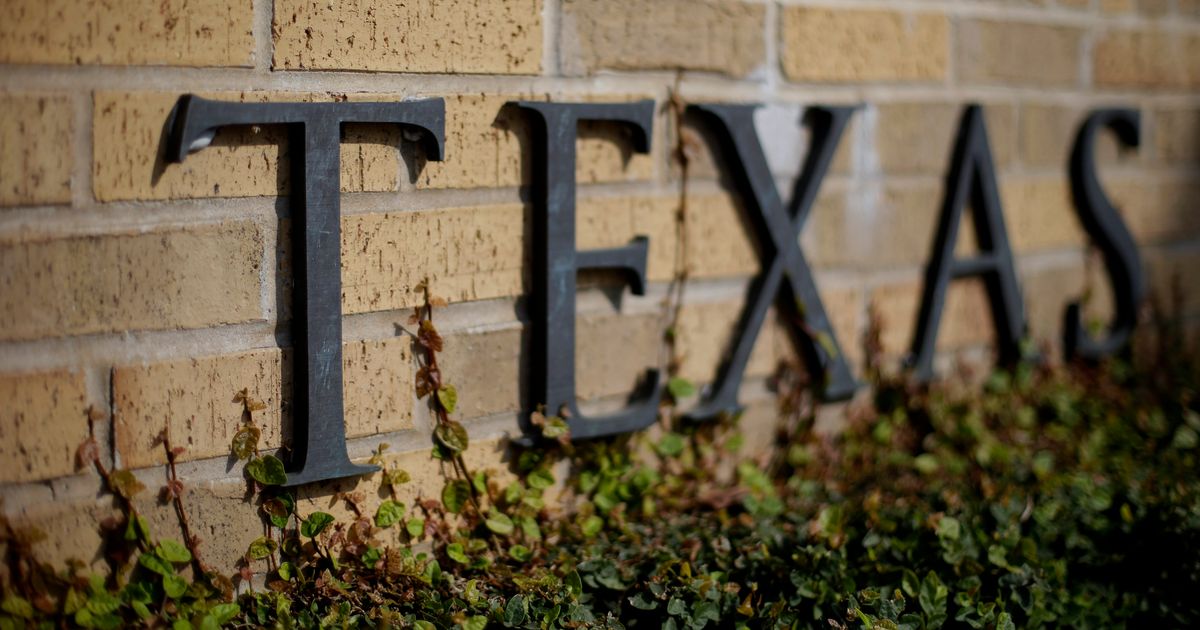 Texas university leaders say hundreds of positions, programs cut to ...