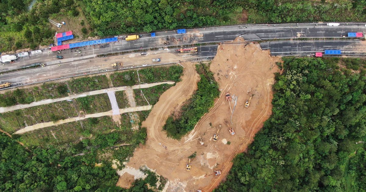 A Chinese driver is praised for helping reduce casualties in a highway ...