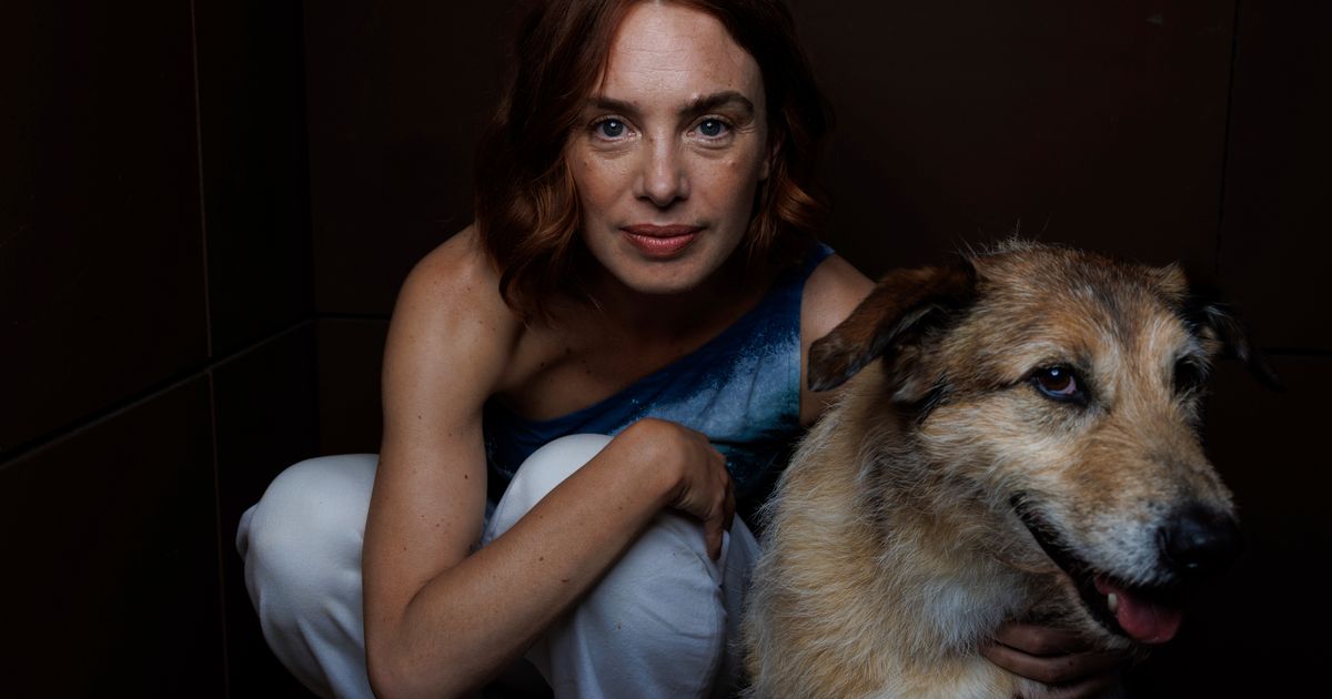 Palm Dog: Kodi, star of ‘Dog on Trial,’ is the top dog of Cannes | The ...