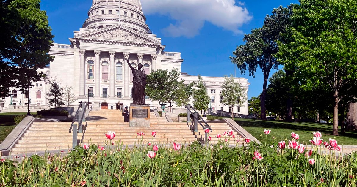 Up in smoke: Workers remove dozens of apparent marijuana plants from ...