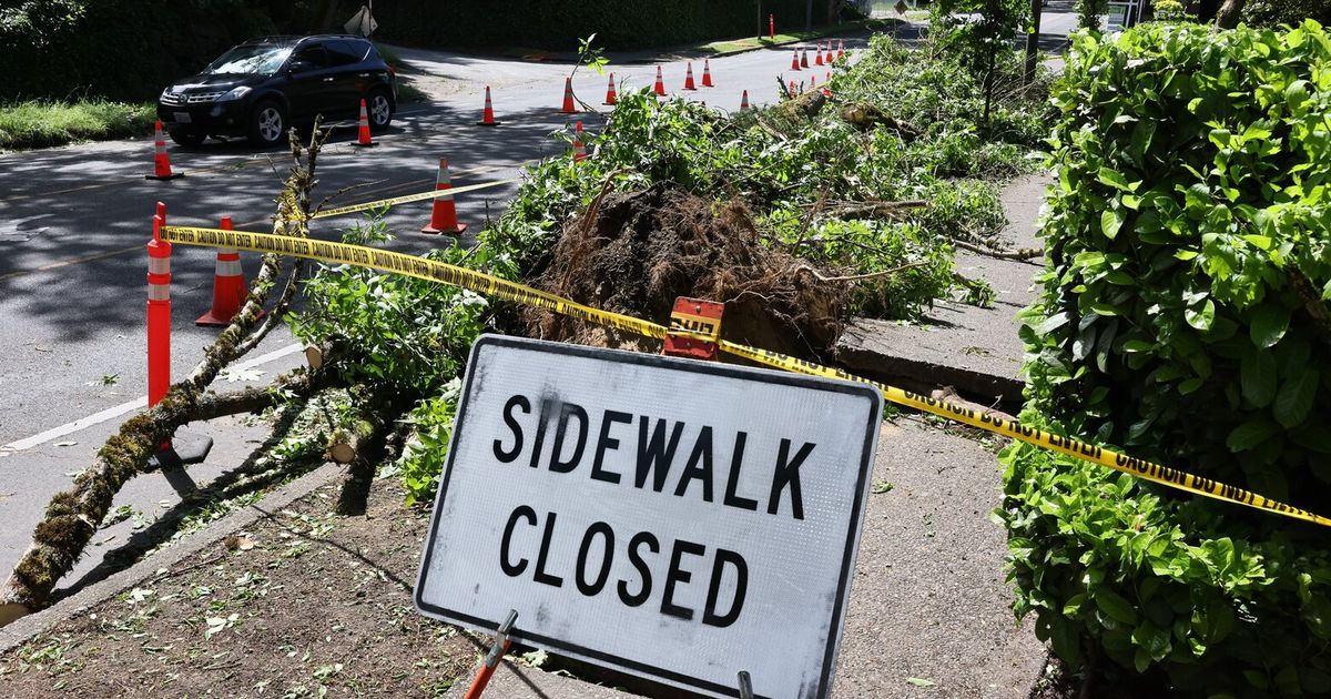 Thousands without power after wind, record rainfall in Western WA | The Seattle Times
