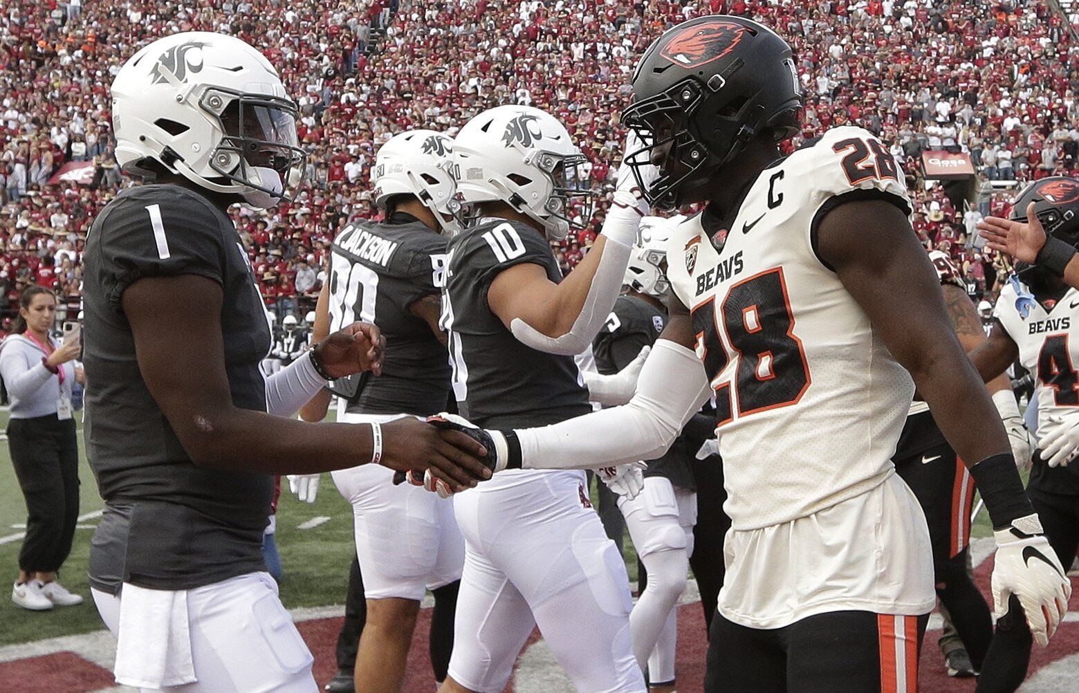 Cougar Football | The Seattle Times