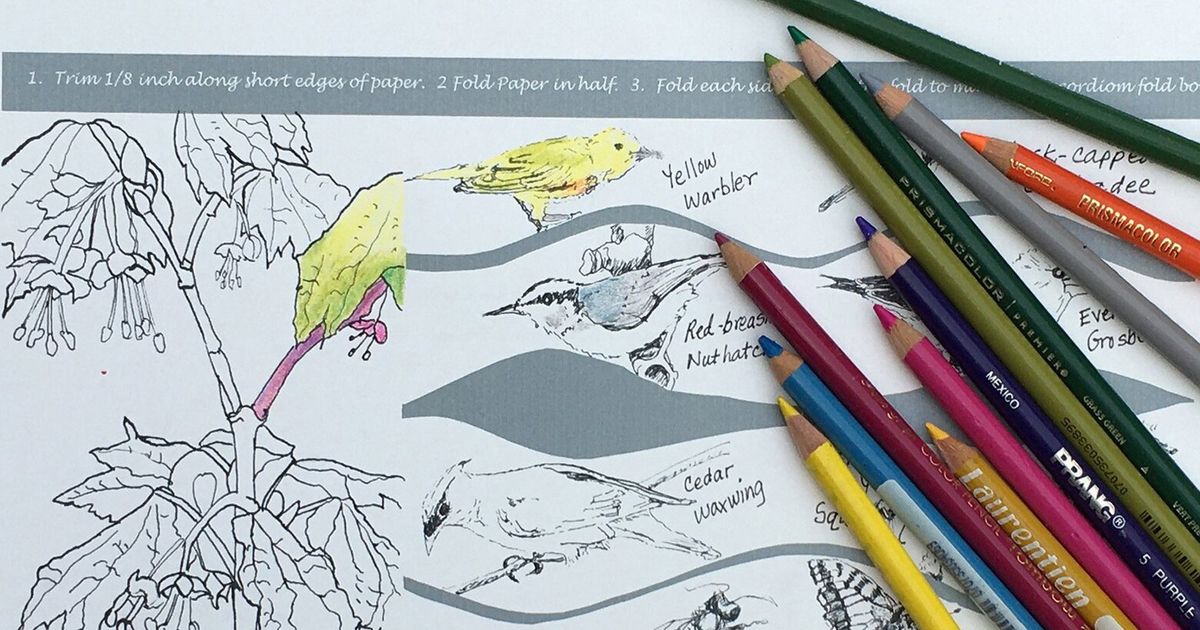 These artsy PNW Native Plant Magic Books have a few tricks up their ...