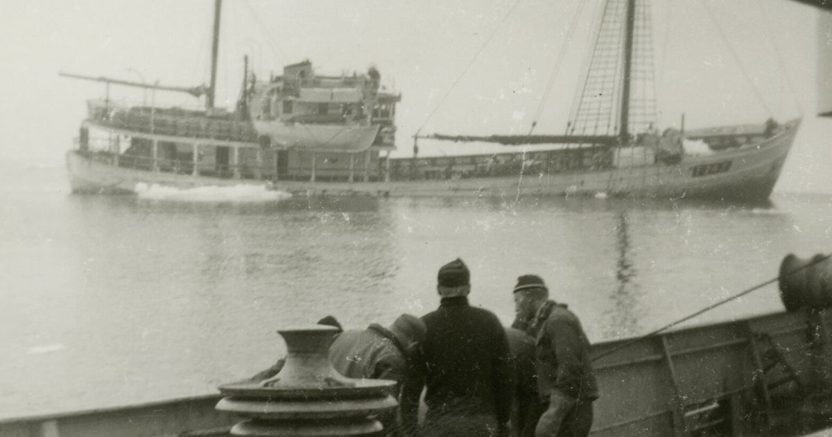 Wreck of the last ship of famed Anglo-Irish explorer Shackleton found ...