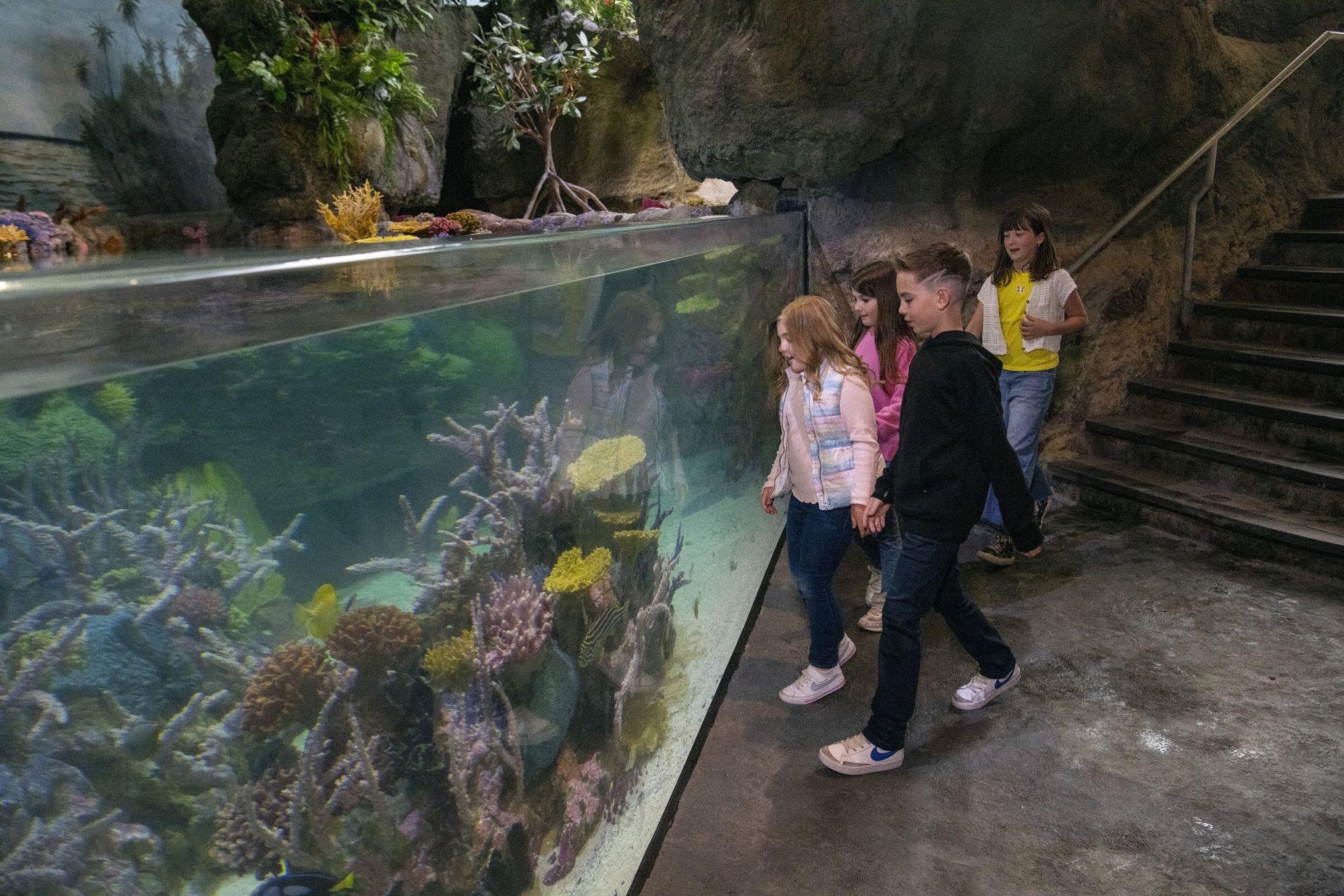 Defiance Zoo And Aquarium Point Defiance Zoo And Aquarium Animal