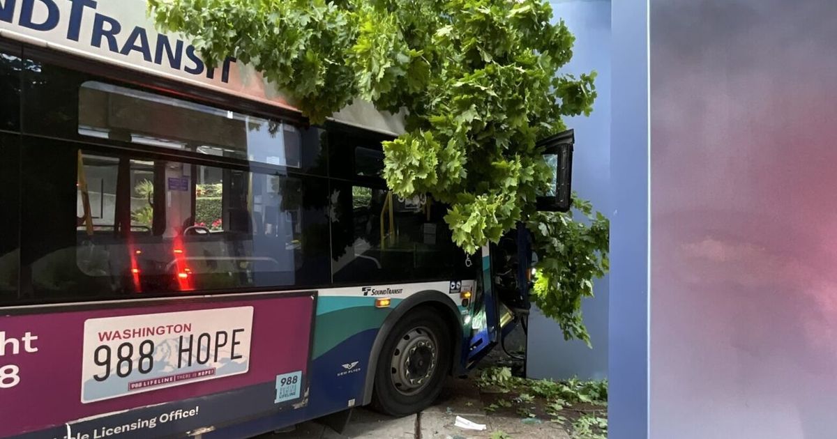 Sound Transit bus crashes into barrier in Seattle, 11 hospitalized ...
