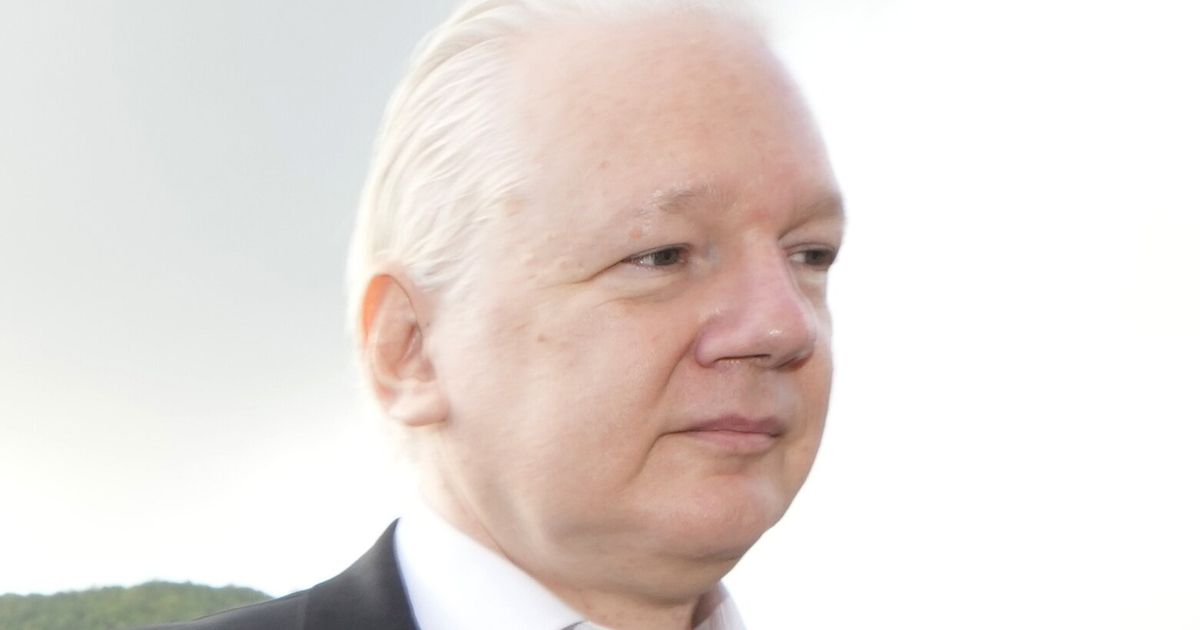 Wikileaks Assange Pleads Guilty To Publishing Us Military Secrets In