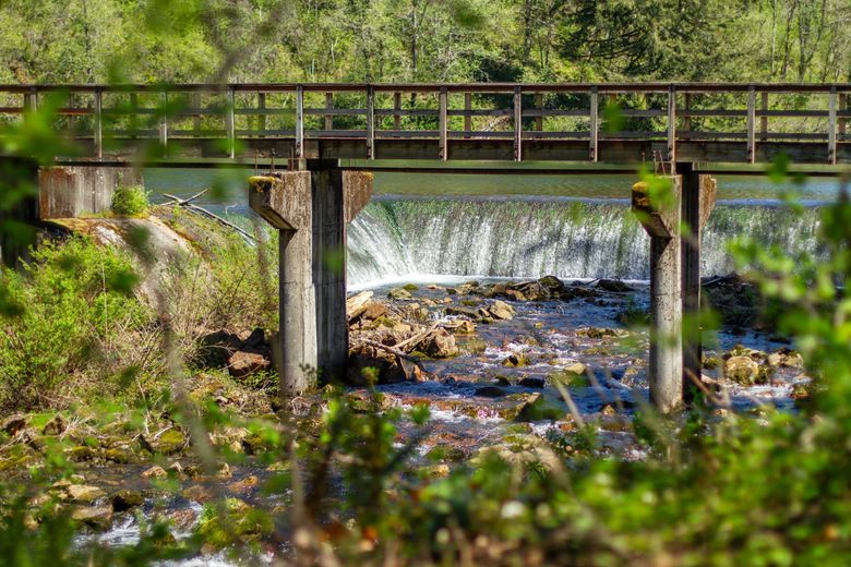 Why ‘deadbeat dam’ removals are so difficult in WA, PNW | The Seattle Times