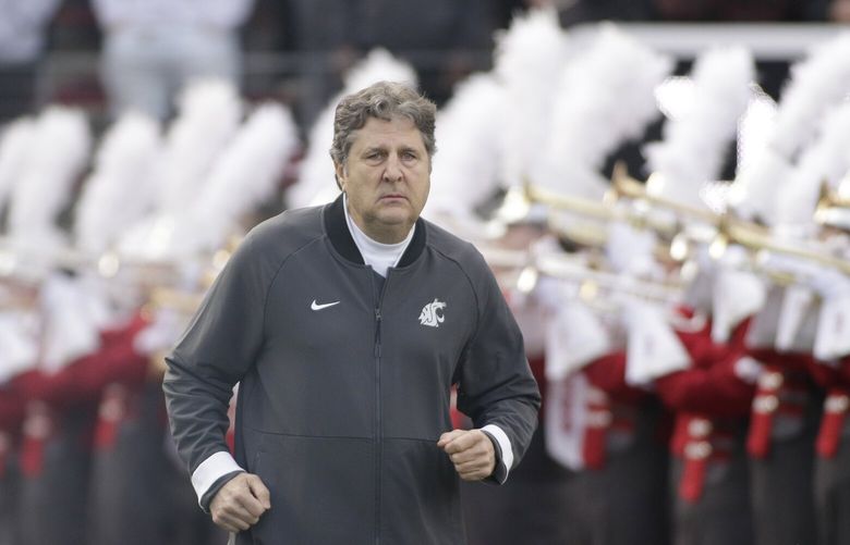 Cougars | The Seattle Times