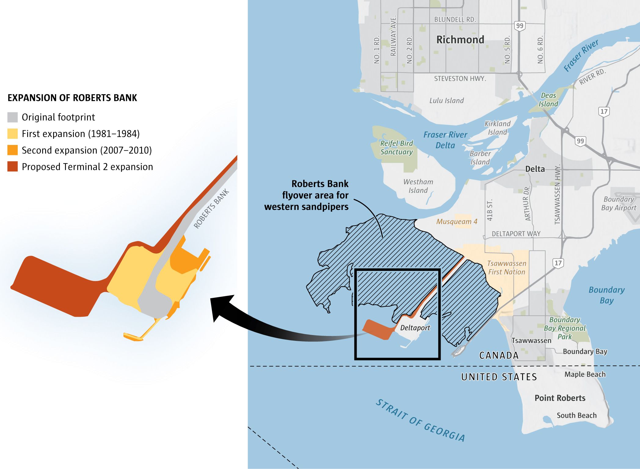 Can a tiny shorebird stop the massive expansion of a container port ...
