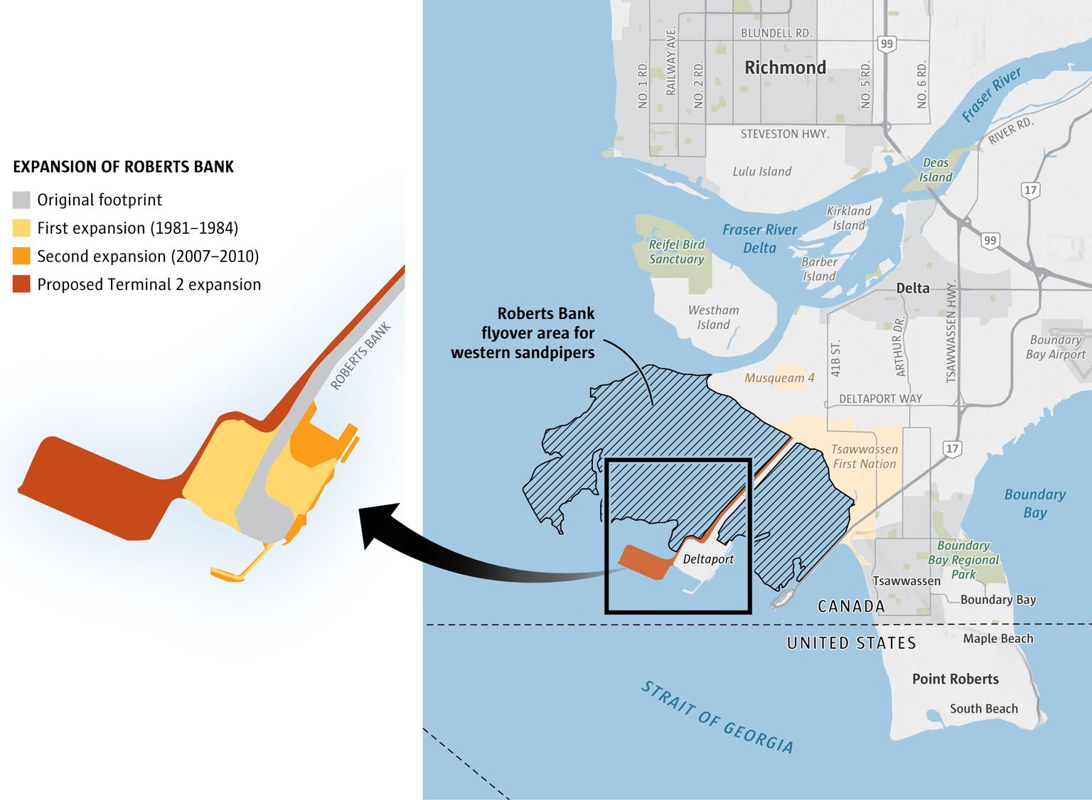 Can a tiny shorebird stop the massive expansion of a container port ...