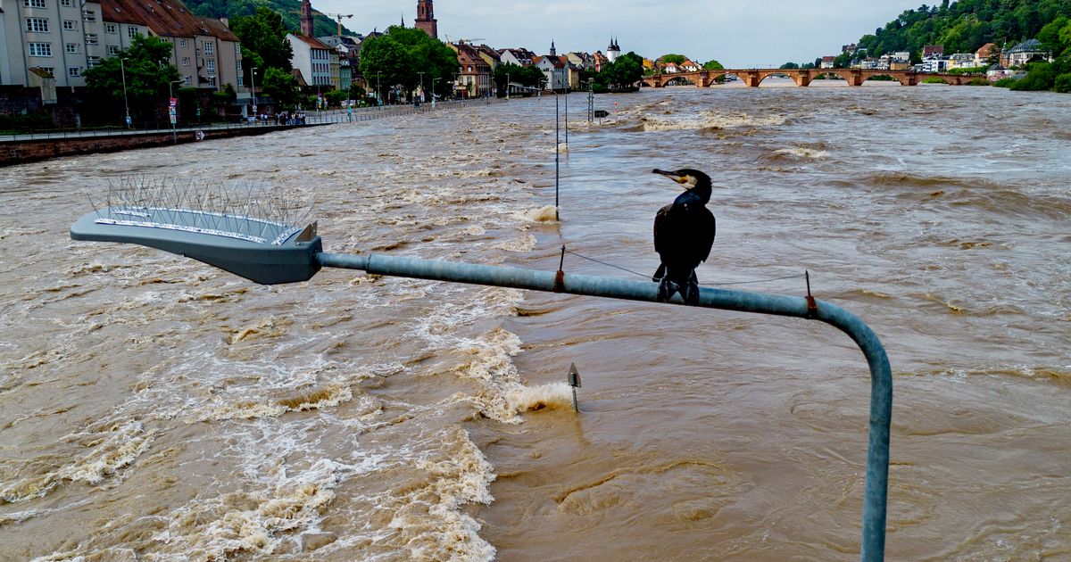 4 people have died in floods in southern Germany. The situation remains ...