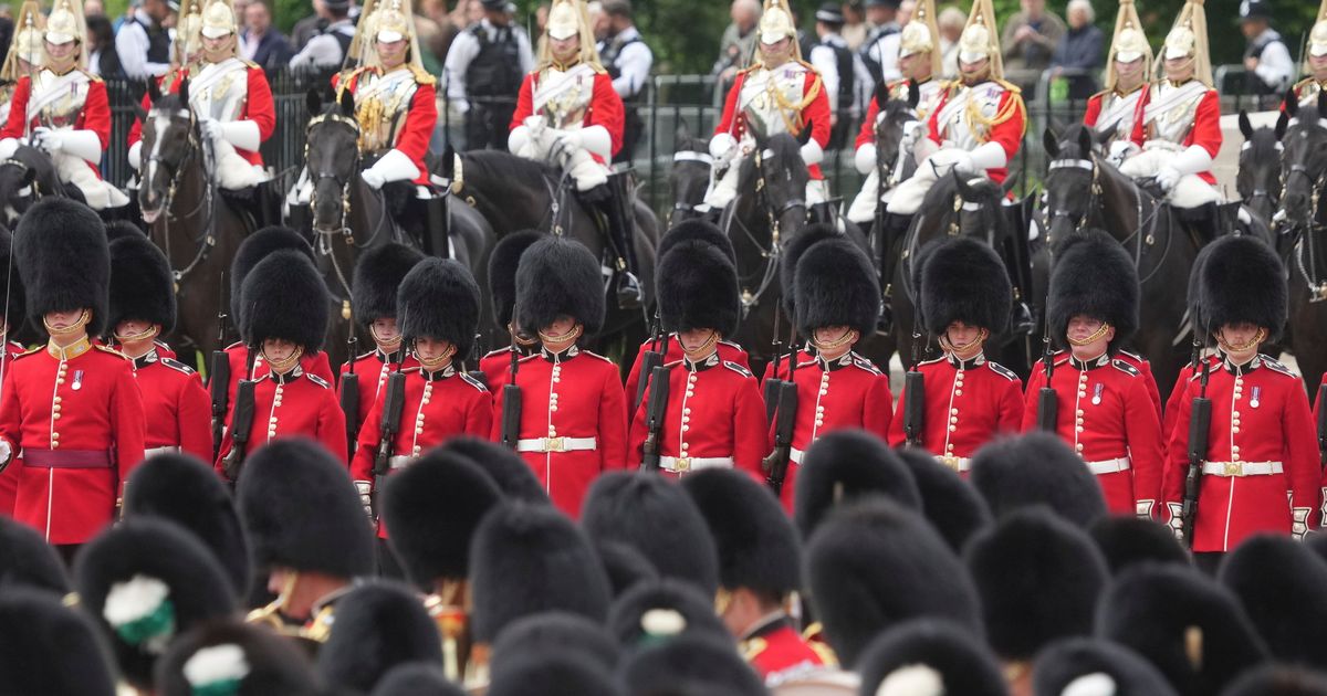 Kate, Princess of Wales, apologizes for missing Irish Guards final ...