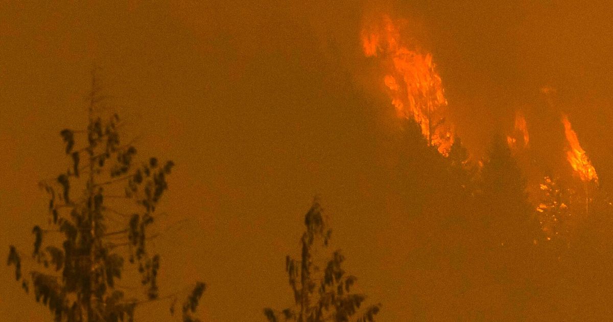 PNW wildfire risk to reach ‘near record’ levels amid heat wave | The ...