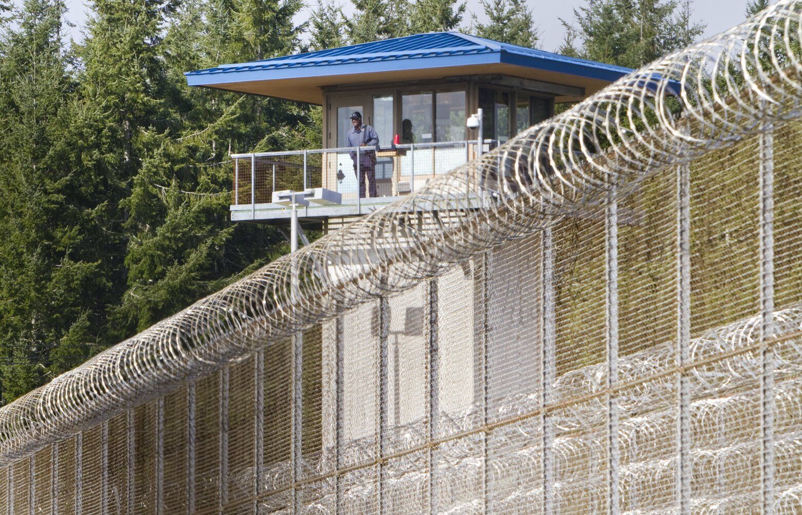 Noel Frame | The Seattle Times