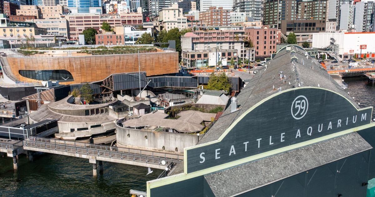 Seattle Aquarium’s Ocean Pavilion to open in August | The Seattle Times