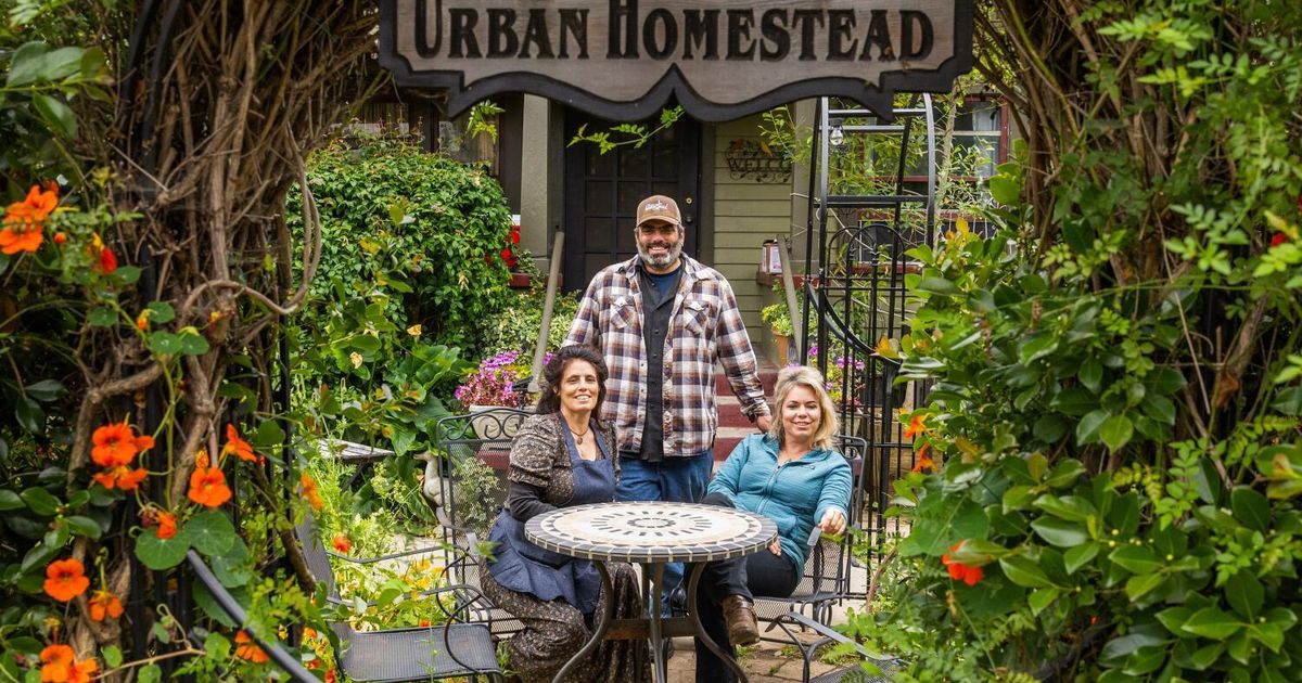 Seeking a simpler life, he built an urban homestead. Now his family ...