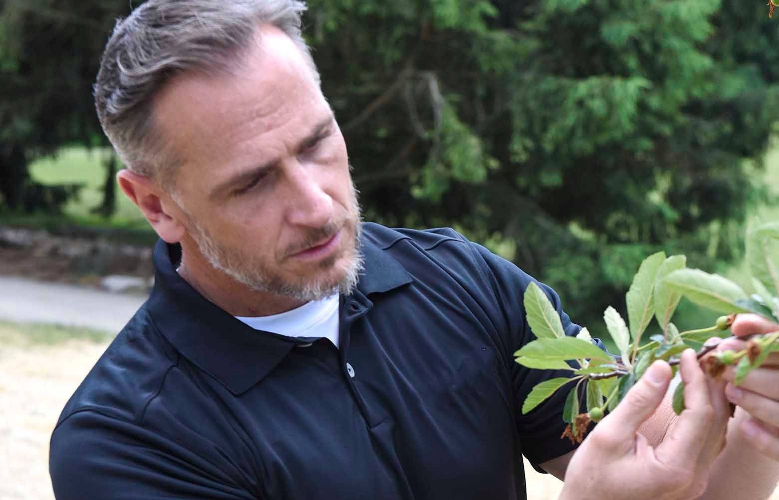 The Davey Tree Expert Company | Advertisers | The Seattle Times