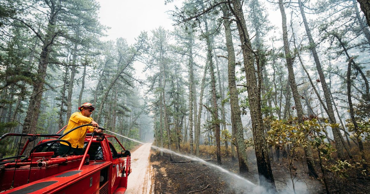 Sparked by fireworks, New Jersey forest fire is 90% contained ...