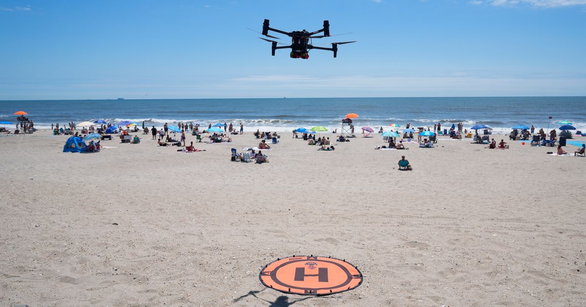 On NYC beaches, angry birds fight drones patrolling for sharks and ...