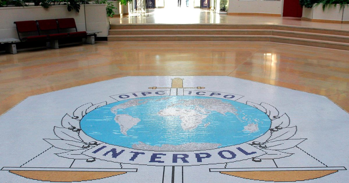 Interpol arrests 300 people in a global crackdown on West African crime ...