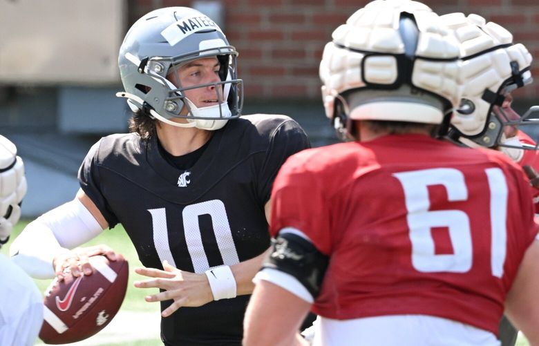 Cougars | The Seattle Times