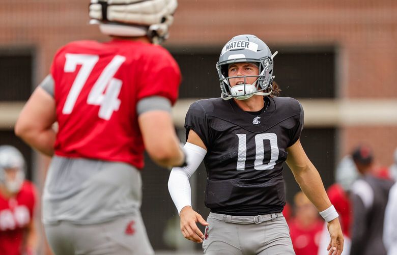 Cougars | The Seattle Times