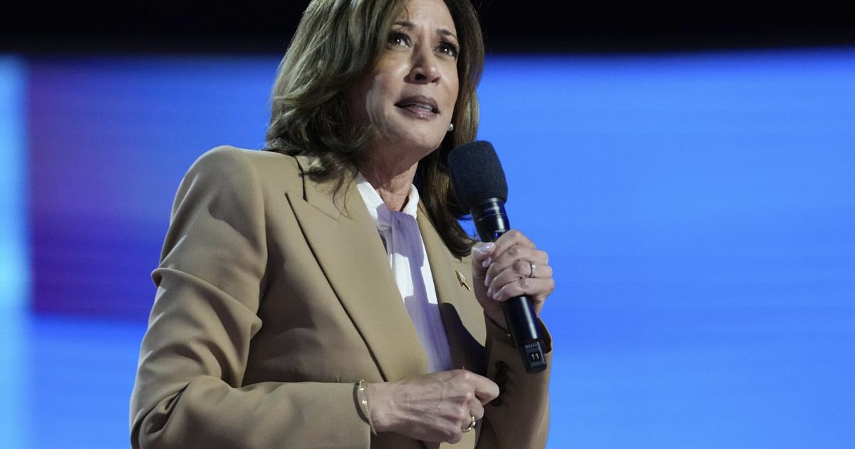 DNC 2024: ‘Uncommitted’ WA delegates hope Harris ends arm sales to ...