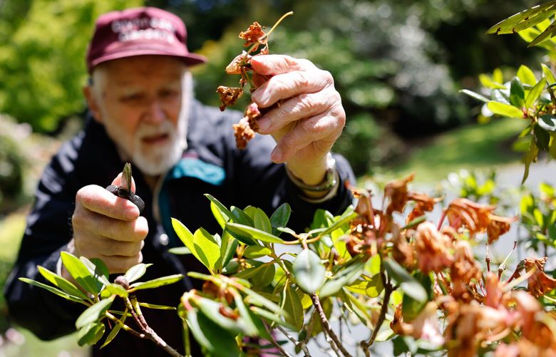 Erin Edwards | The Seattle Times