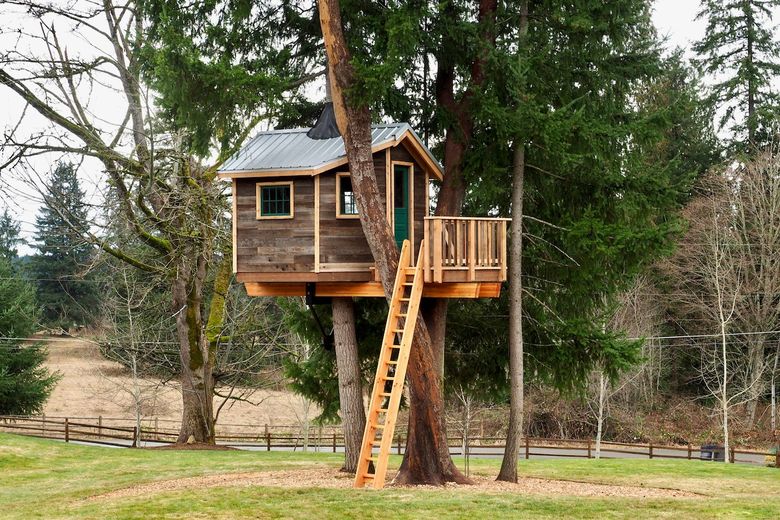 Basic Tree House Construction Bespoke Treehouse Builders Custom