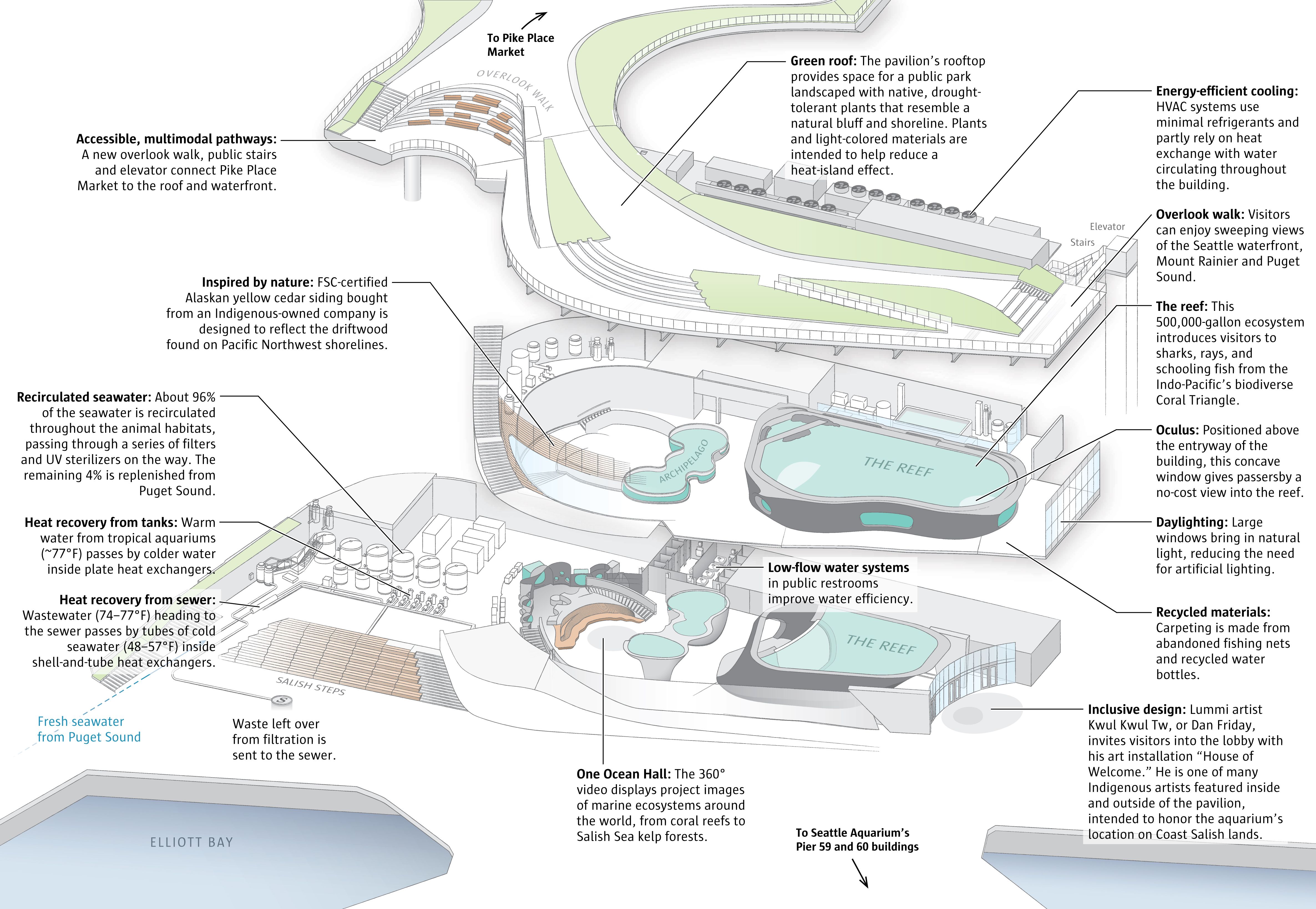 Inside the Seattle Aquarium’s new tropical exhibit | The Seattle Times