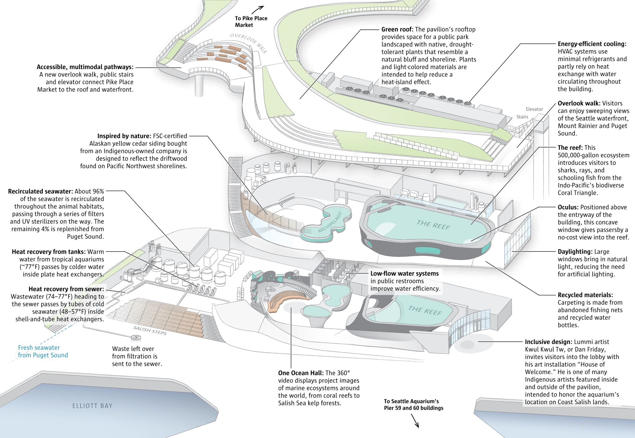 Inside the Seattle Aquarium’s new tropical exhibit | The Seattle Times