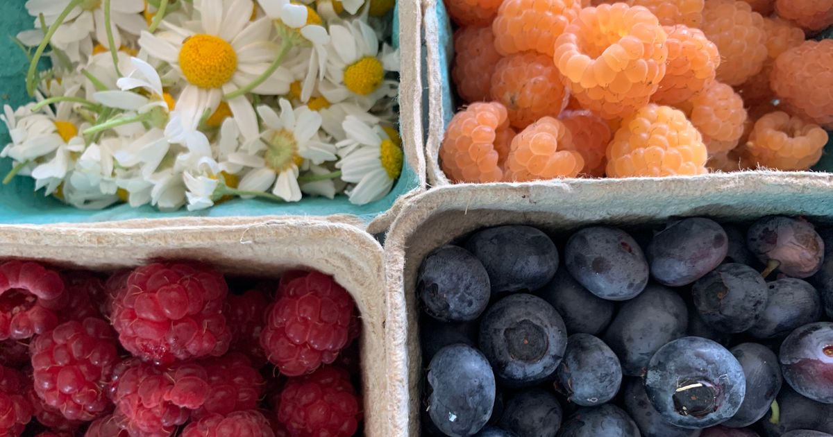 Grow a food forest anywhere: Mixing edible plants into your garden for ...