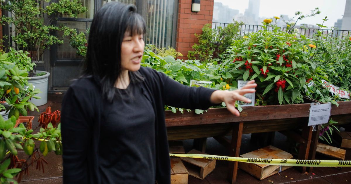 For many Asian Americans, Ferguson unrest set them on a path of ...