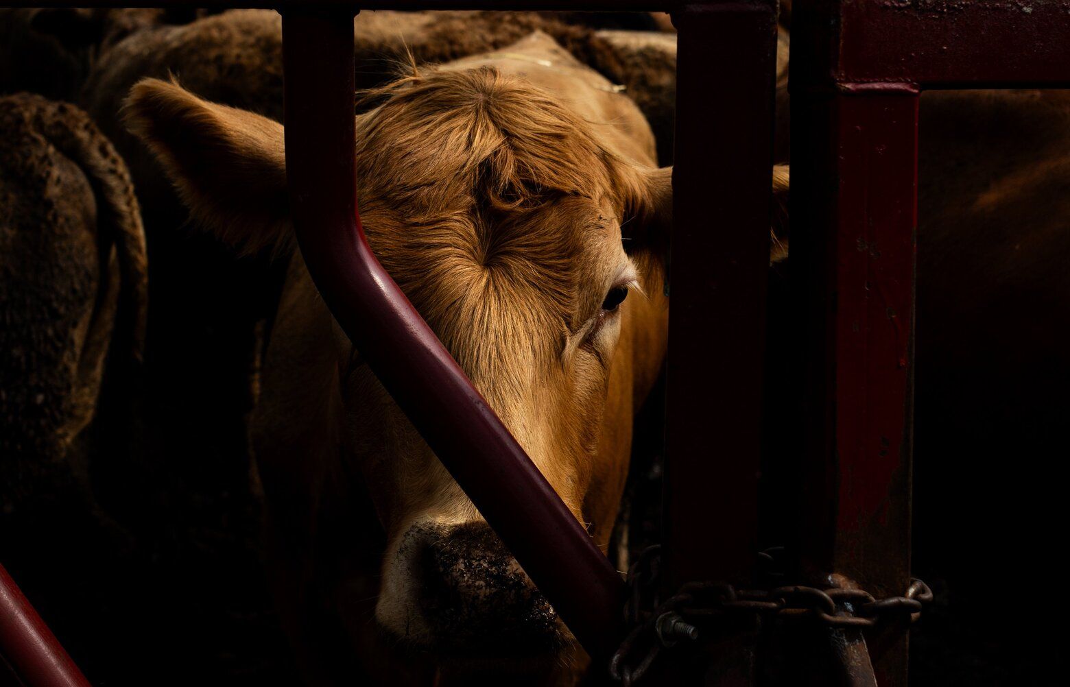 The EPA promotes a toxic fertilizer whose risks it knew about decades ...