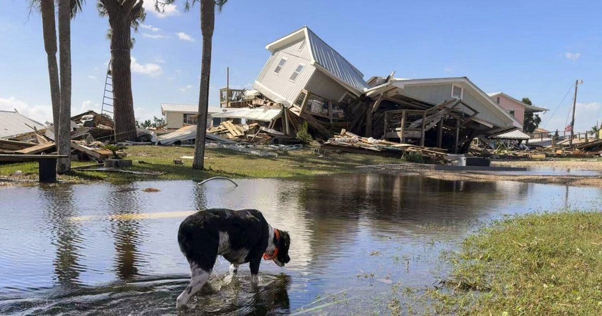 Hurricane Helene kills at least 44 and cuts a swath of destruction ...