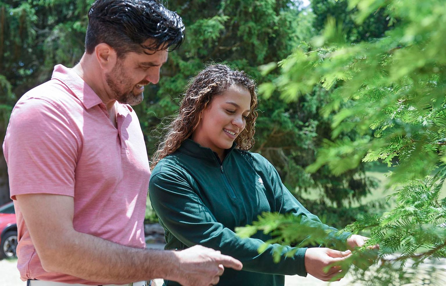 The Davey Tree Expert Company | Advertisers | The Seattle Times