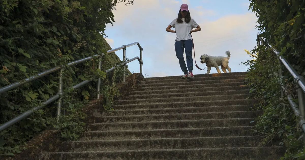 The steps really add up at Seattle’s longest flight of public stairs ...